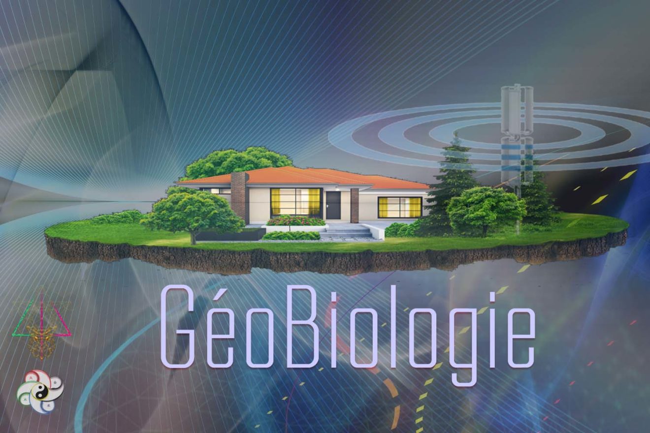 Formation - Décrypter la Géobiologie de mon habitat – Christophe PALETTE